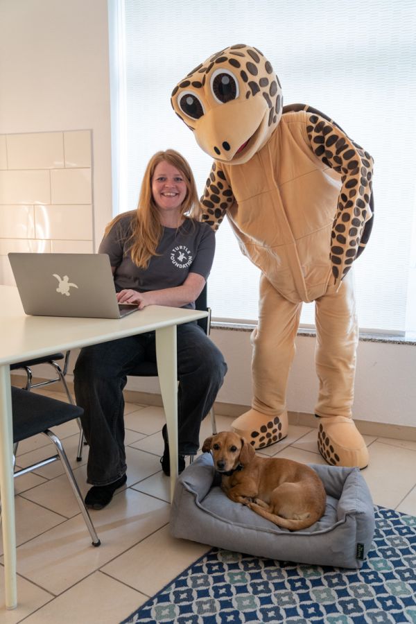 Turtle Foundation – Protecting Sea Turtles and their Habitats